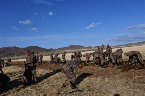 Цэргүүд Улаанбаатар Дархан чиглэлийн авто зам дагуу мод тарьжээ