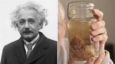 Albert Einstein Infobae