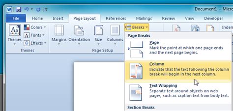 How To Insert Page Break In Microsoft Word 2010 Design Talk