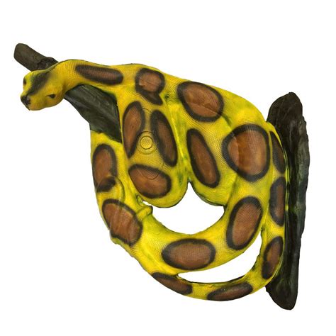 Boa Constrictor Light Green Kirsch Llc