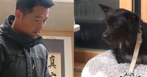 악귀 들린 듯 짖는 믹스견에 강형욱 “집개와 반려견 사이”