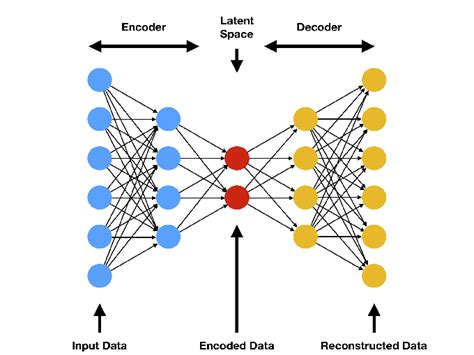 architecture of autoencoder encoder and decoder download scientific