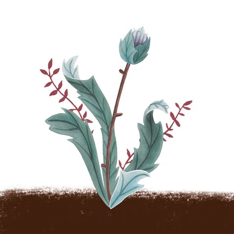 Layla Añil Singer Mempathie