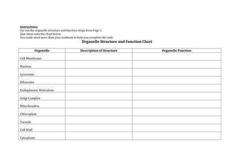 Cell Chart Of Functions And Structures