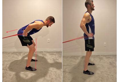The 7 Best Hip Hinge Exercises Nutrabio Brands