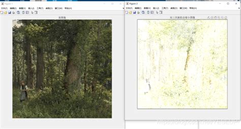 最近邻插值、双线性插值及双三次插值方法 matlab实现图像的放大、缩小及旋转 matlab yeslup 开放原子开发者工作坊