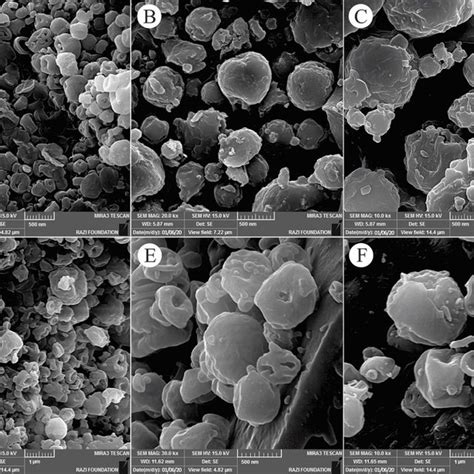 The Size Distribution Of The Electrosprayed Ep Eudragit Rs100 Nps With