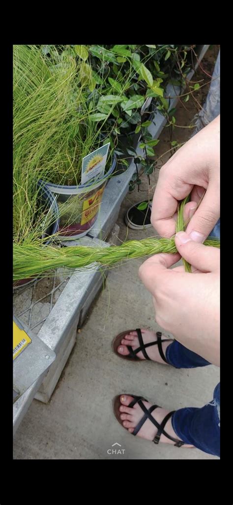 Ever Been So High You Braided Grass At Lowes Rtrees