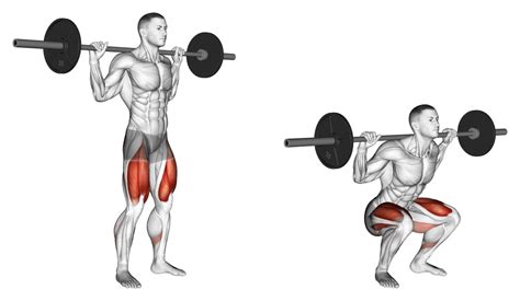 Barbell Squat Benefits Muscles Used And More Inspire Us