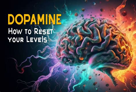 How To Reset Dopamine Levels Fast Revive Detox