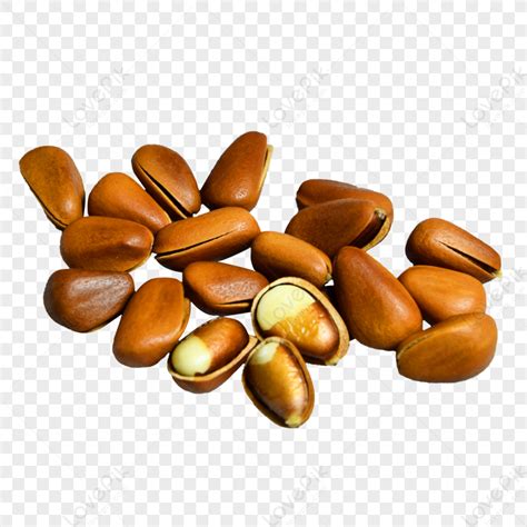 맛있는 잣 음식반투명향기로운타원형 Png 일러스트 무료 다운로드 Lovepik