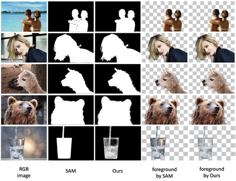 Github Hustvlmatte Anything Image And Vision Computing Vol147