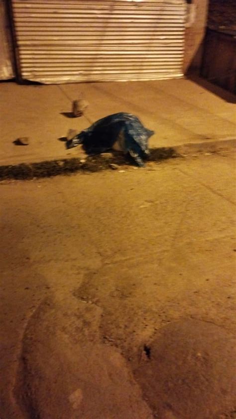 Macabro Hallazgo En Cusco Policía Encuentra Restos De Mujer