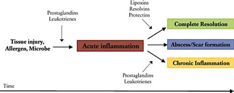 Inflammation Part 3 Resolving Inflammation Resolvins Protectins Maresins And Lipoxins