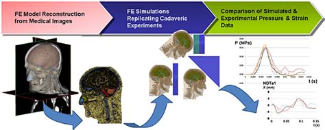 Development And Validation Of Two Subject‐specific Finite Element Models Of Human Head Against