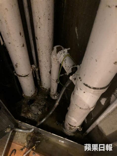海之戀爆屎渠浸全屋 香港高登討論區