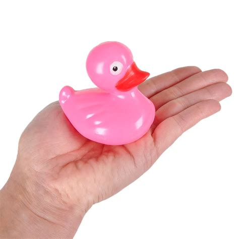 Floating Plastic Ducks Dz