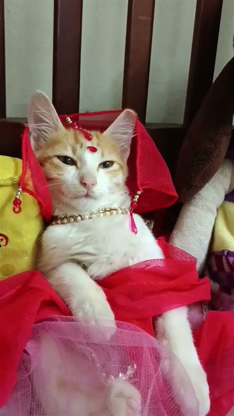 My Lovely Aaina Youtube