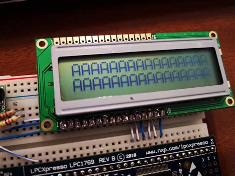 Aaa Aaa Aaa Raaaaaaaaaaaaaaaaa