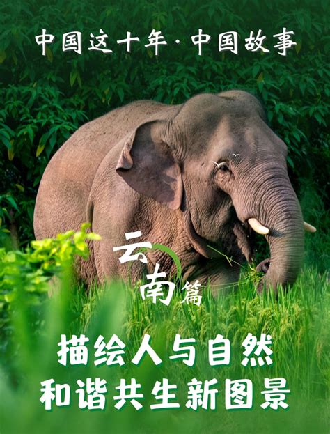 中国这十年·中国故事（之三） 新华网