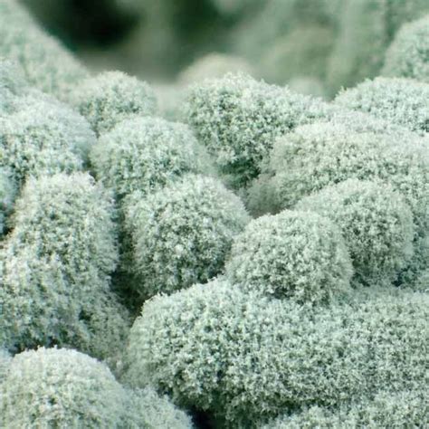 Contamination Prevention