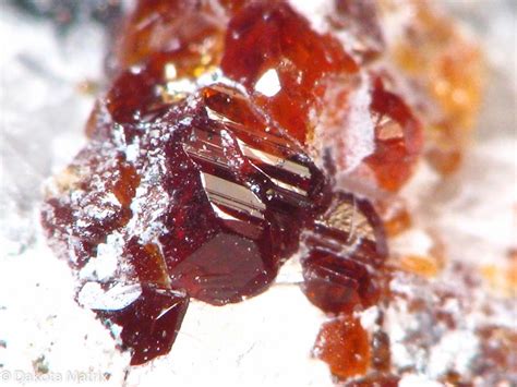 Chondrodite Archived Mineral Specimens