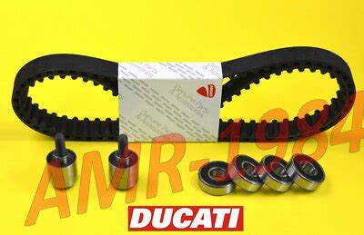 Cinghie Ducati Orig Tenditori
