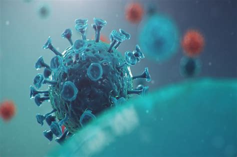 Los 5 Virus Que Deben Vigilarse Para Prevenir Futuras Pandemias