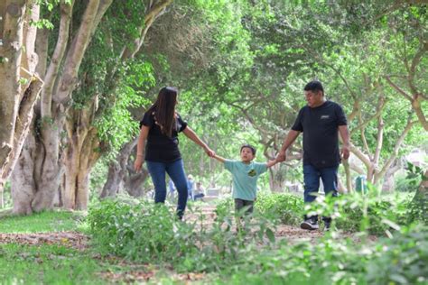 Jenis Jenis Hutan Di Indonesia