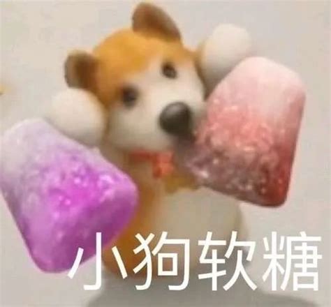 表情包来了 目瞪狗呆 强制色色 小猫我啊这辈子没求过什么人