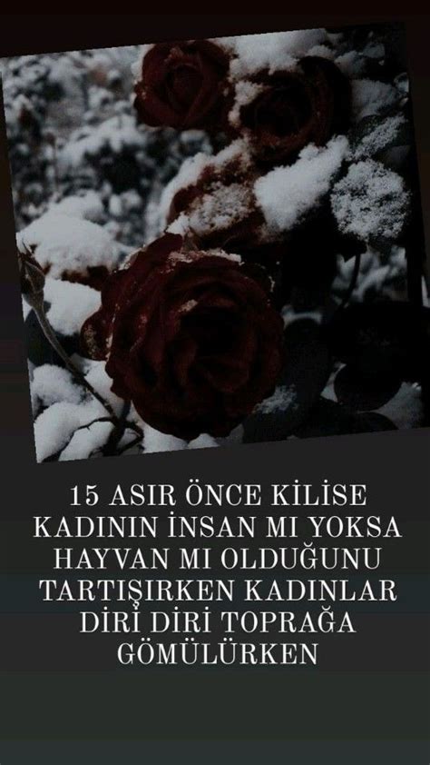 Hz Peygamber Sav