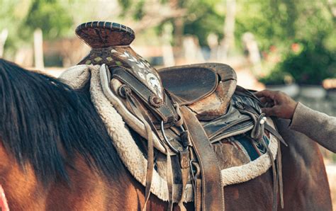 Types Of Western Saddle Pads At Paula Rodrigues Blog