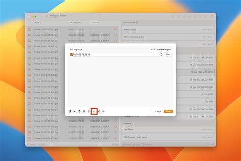 How To Import All Files From A Folder In Python Printable Forms Free Online