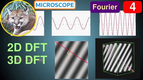 Fourier 4 The Fourier Transform In 2d And 3d Announcements Microforum