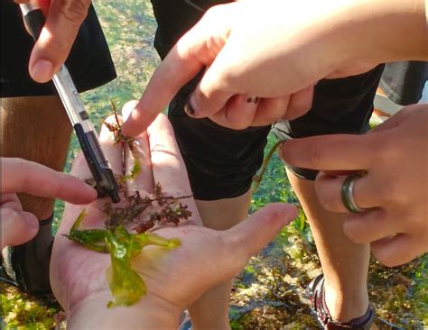 Exploring Biodiversity And Sustainability Participants Of The 6th