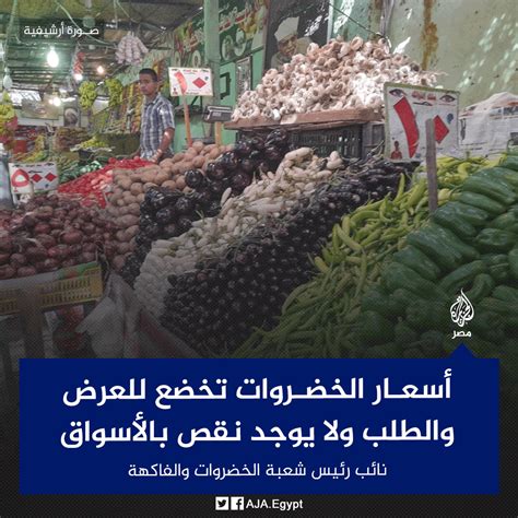 الجزيرة مصر نائب رئيس شعبة الخضروات والفاكهة حاتم