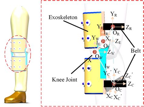 Schematic Of Coordinate System Of The Human Machine Kinematic Chain