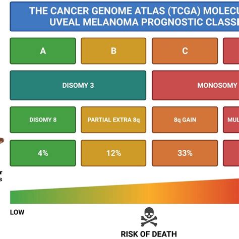 New Molecular Prognostic Classification For Uveal Melanoma Based On The Download Scientific