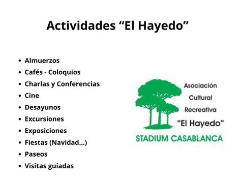 Asociación Cultural Recreativa «el Hayedo Stadium Casablanca