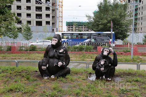 Жишиг цэцэрлэгт хүрээлэн г 49 сая төгрөгөөр бүтээжээ