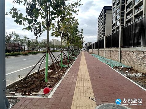 麦积区：推进海绵城市建设 筑牢生态宜居之城图 天水在线