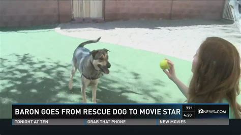 Animal Rescue Movie