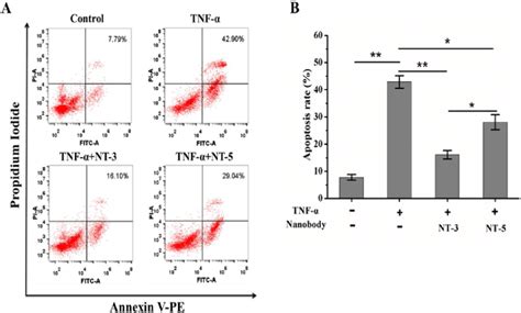 Apoptosis Of L929 Cells Analyzed By Flow Cytometry A L929 Cells Were
