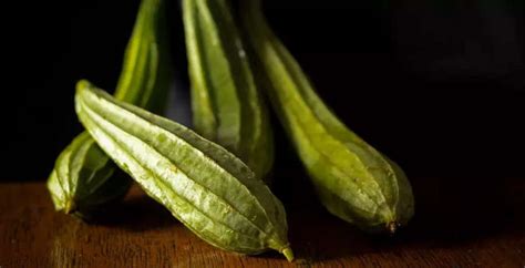 Weight Loss To Good Heart Benefits Of Turai Or Ridge Gourd Economictimes