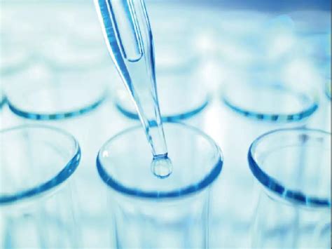 酶解生物技术—紫薇专利 紫薇品牌官网