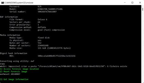 Convert Forensic Image To A Forensic Virtual Machine — Forensicvm 10 Documentation