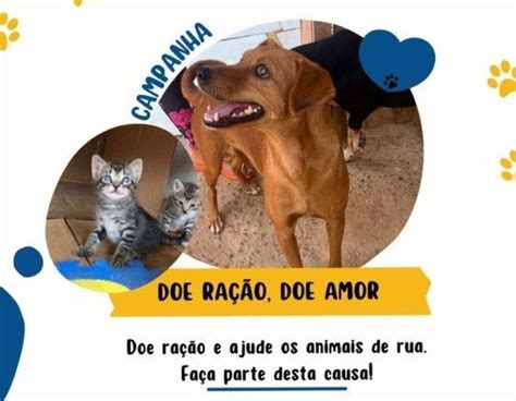 Jaru Alunos do 2º Período de Medicina Veterinária do IFRO realizam