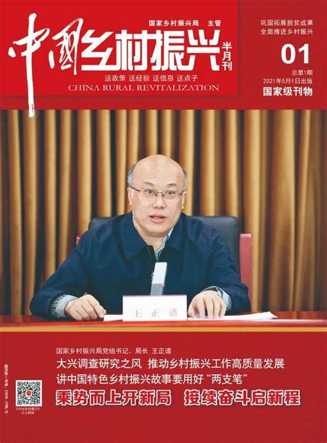 讲中国特色乡村振兴故事 要用好“两支笔”施策