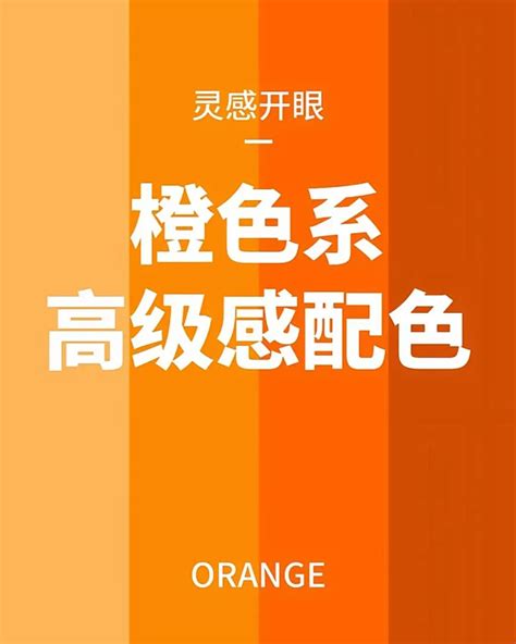 橙色配色 1 花瓣网