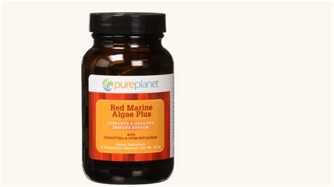 Top 6 Best Algae Supplements In 2025